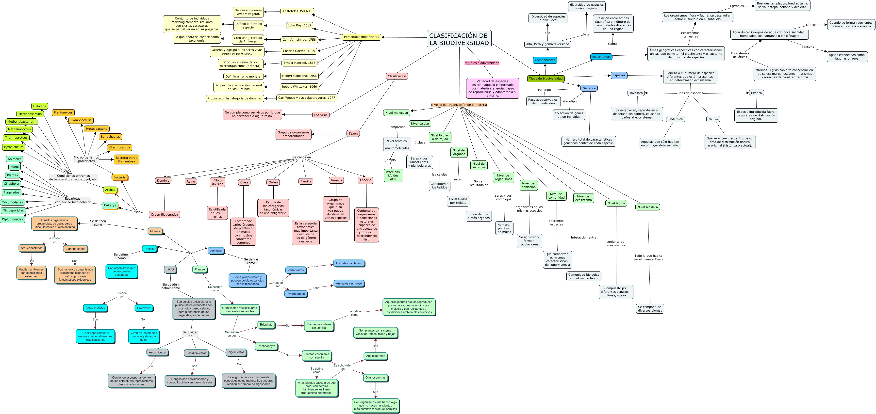 Mapa conceptual grupal